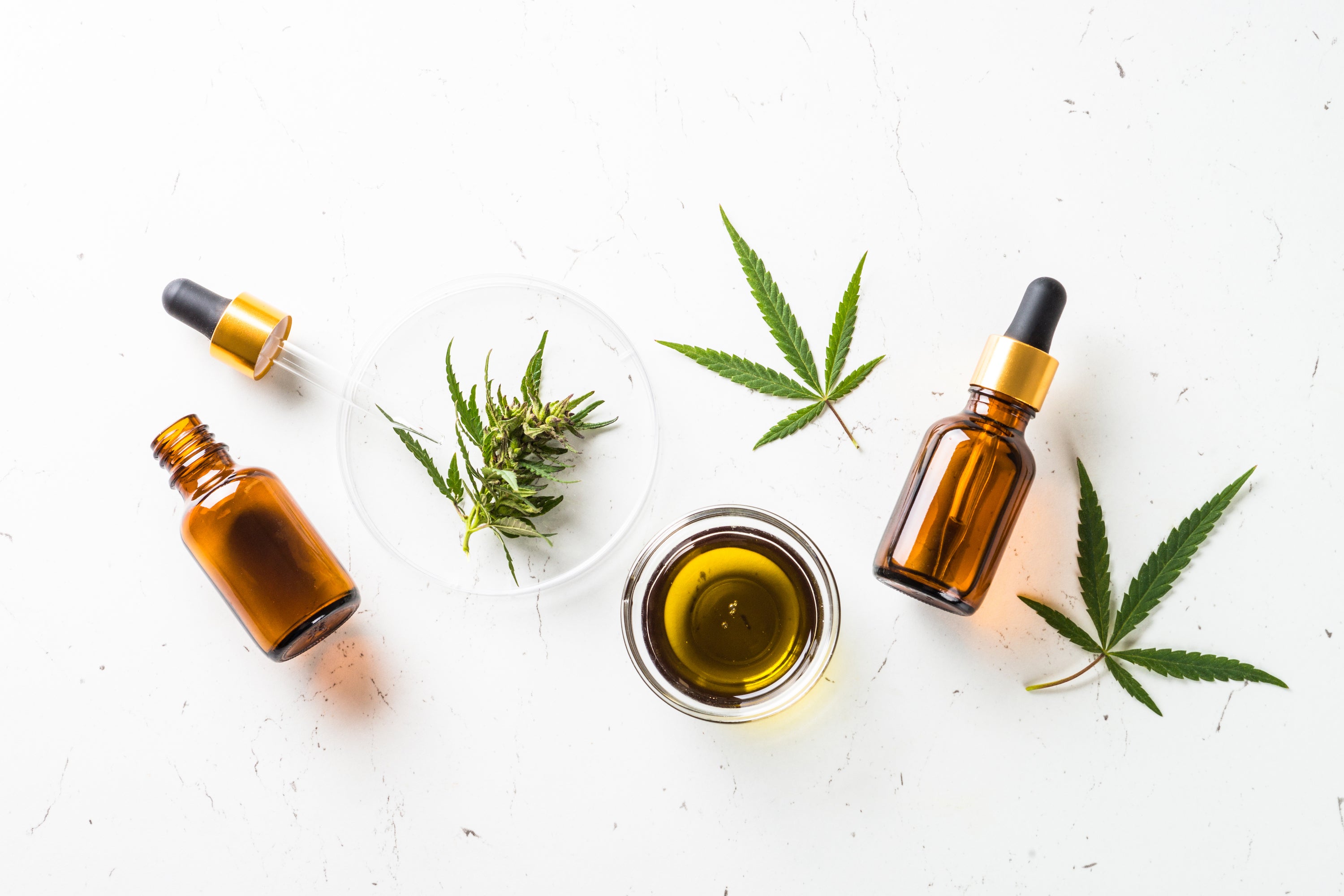CBD Oil vs. Hemp Oil: Unraveling the Mystery Behind These Cannabis-Der ...